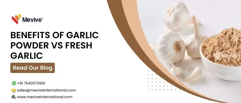 Benefits of Garlic Powder vs Fresh Garlic | Mevive®