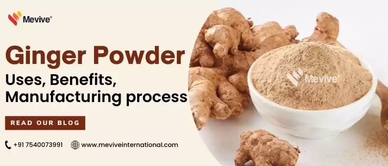 Ginger Powder: Uses, Benefits, Manufacturing Process | Mevive