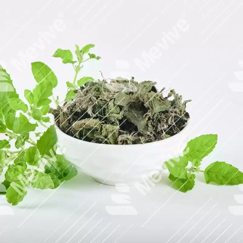 Dried Tulsi Leaves & Powder- Manufacturer, Supplier | Mevive