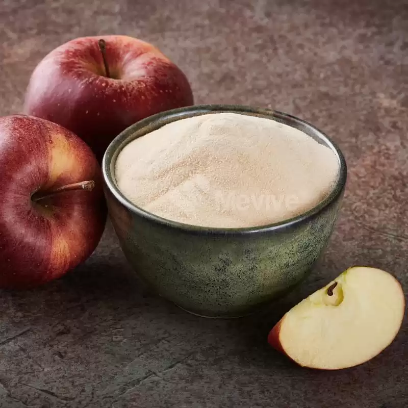 Spray Dried Fruit Powder- Manufacturer & Supplier in India