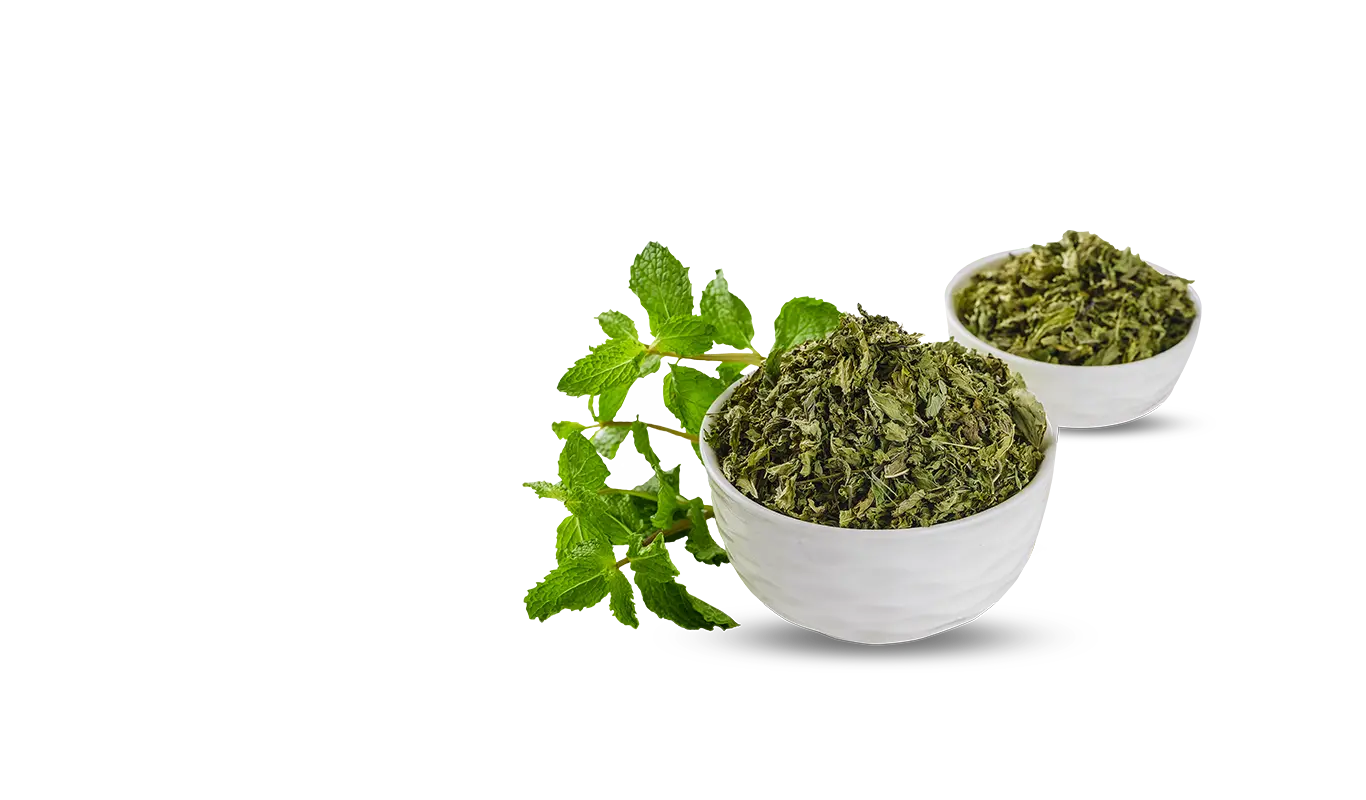 Mevive International | Food Ingredients Company in India